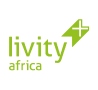 Intro to Digital for Professionals - Livity Africa